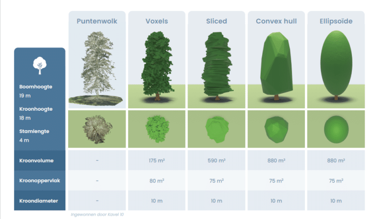 Infographics voor Norminstituut Bomen - Cobra Groeninzicht